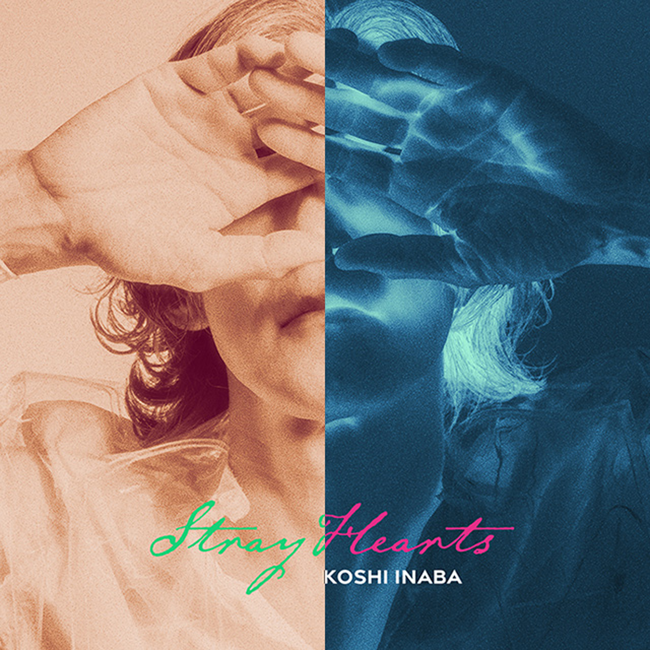 稲葉浩志「stray Hearts」配信リリース!アートワークを反転すると稲葉さん出現 サウウェブ